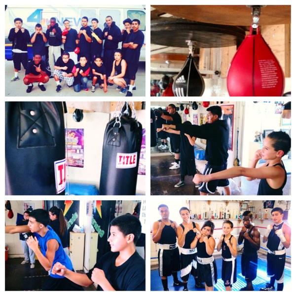 Highlanders Boxing Club - Photos